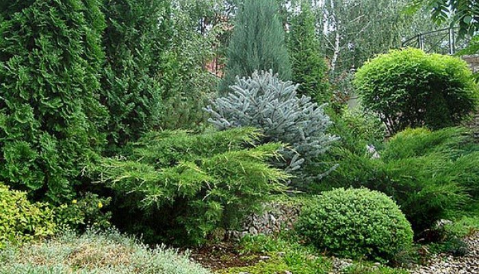 Rasadnik „Jelena”